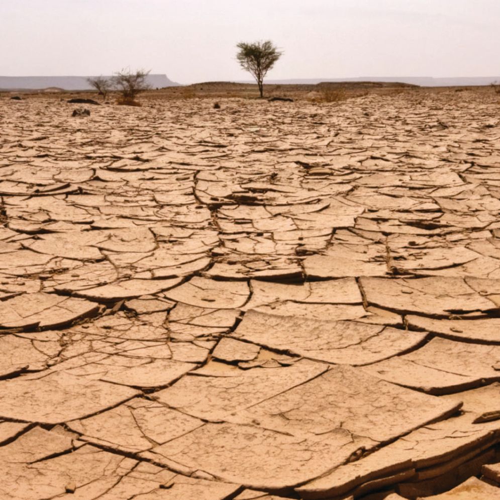 Aarde & Mensen | Compassion in World Farming Nederland